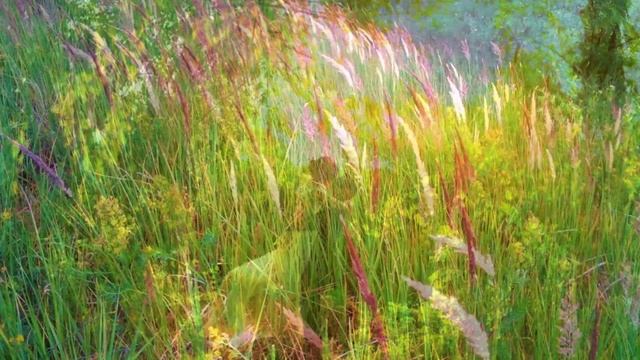 СОГРЕТЫЙ СОЛНЦЕМ АВГУСТ