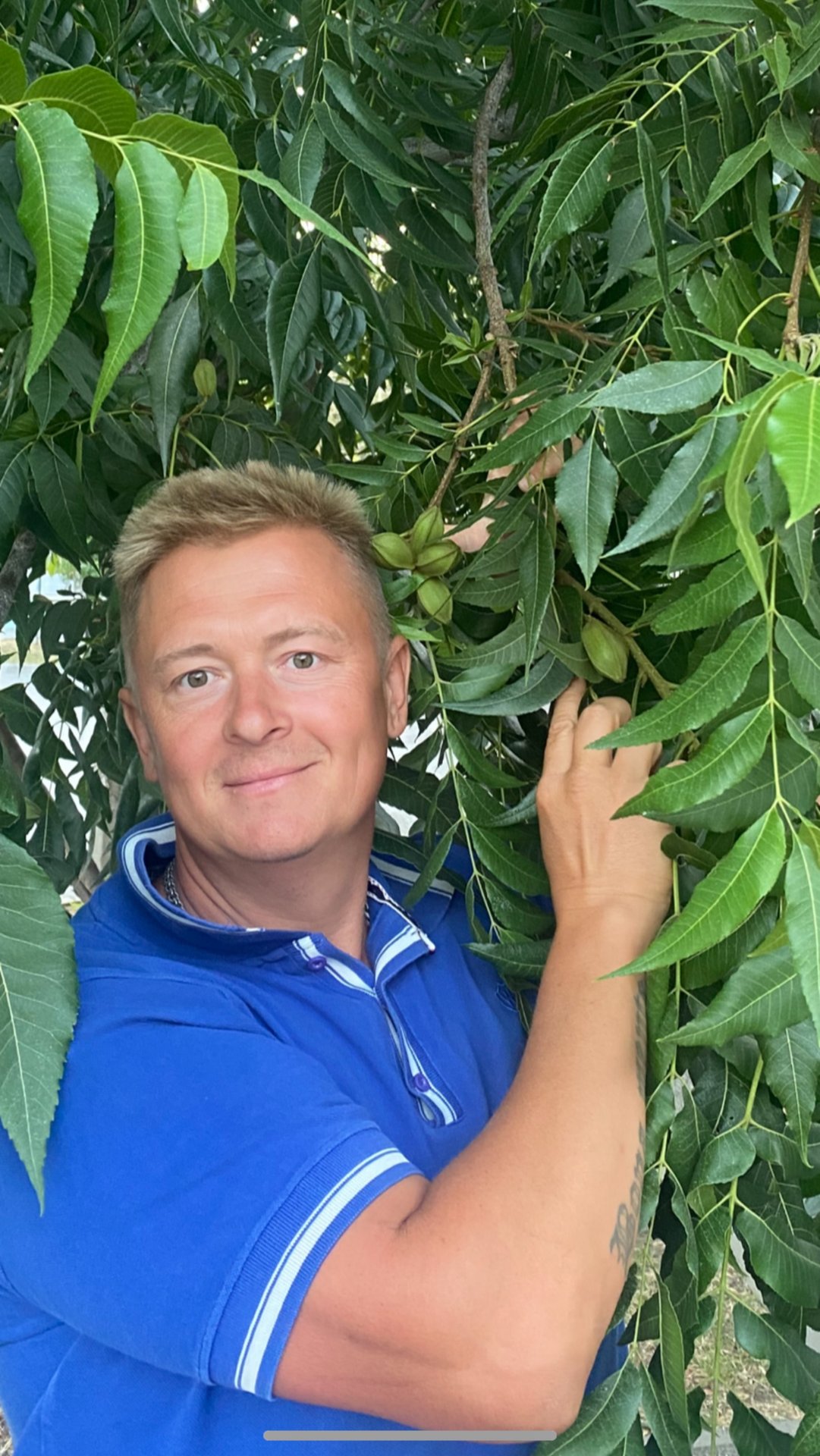 Пекан орех🌳Привитые саженцы, промежуточные итоги🌿Окулировка делалась все лето🤗 2025#сад