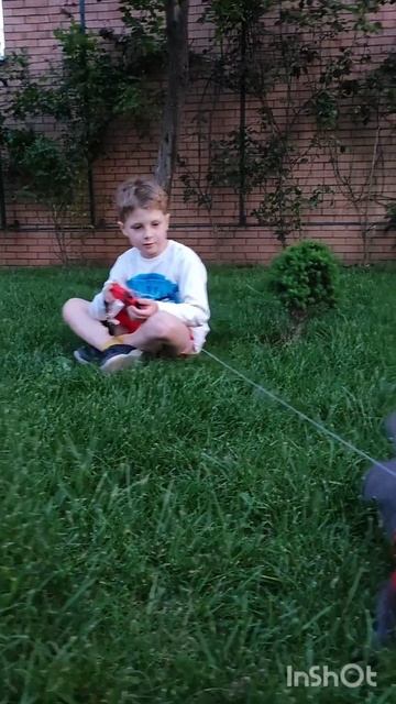 Кошачьи прогулки