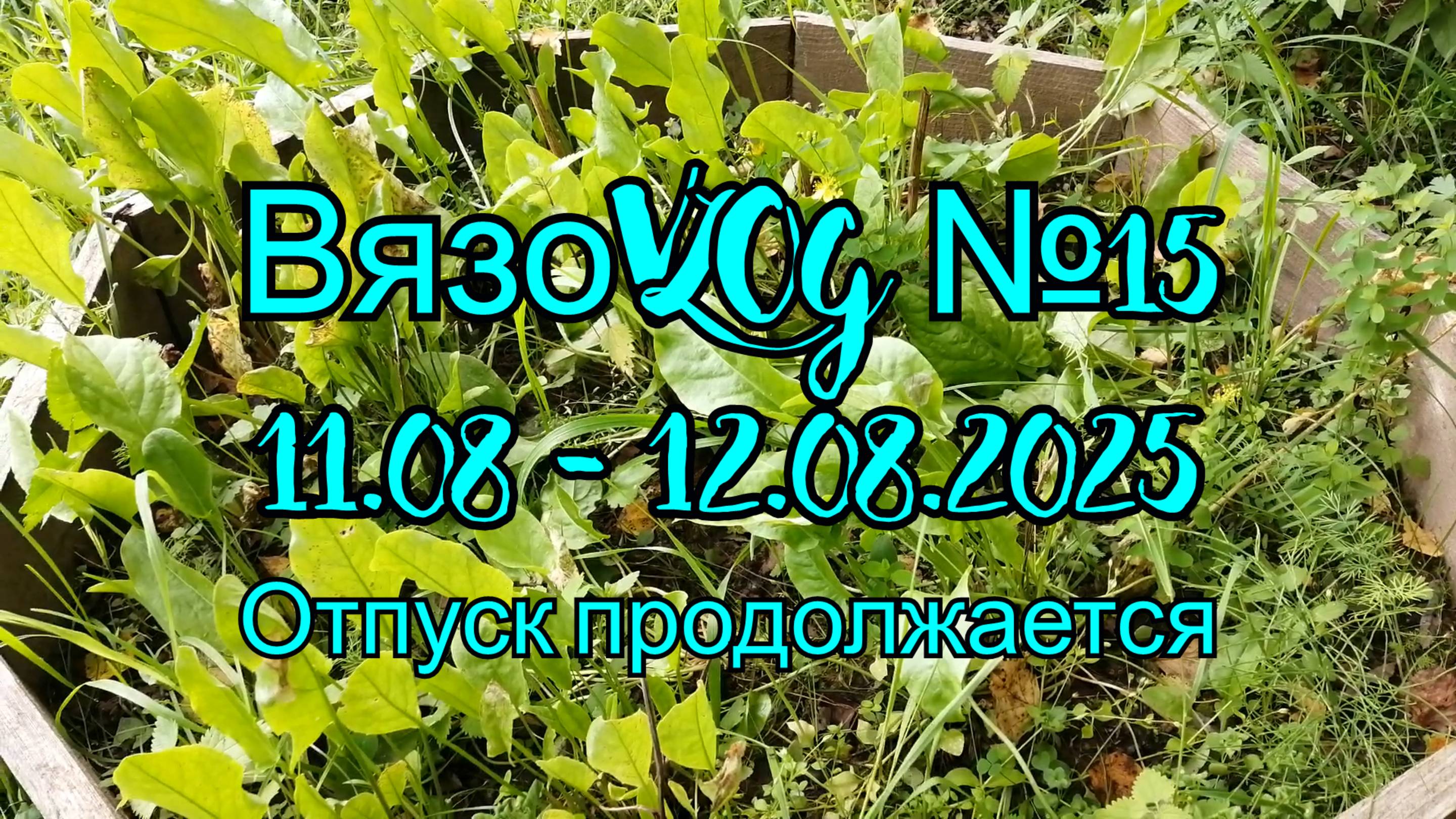 Вязовлог №15  11.08-12.08.2025