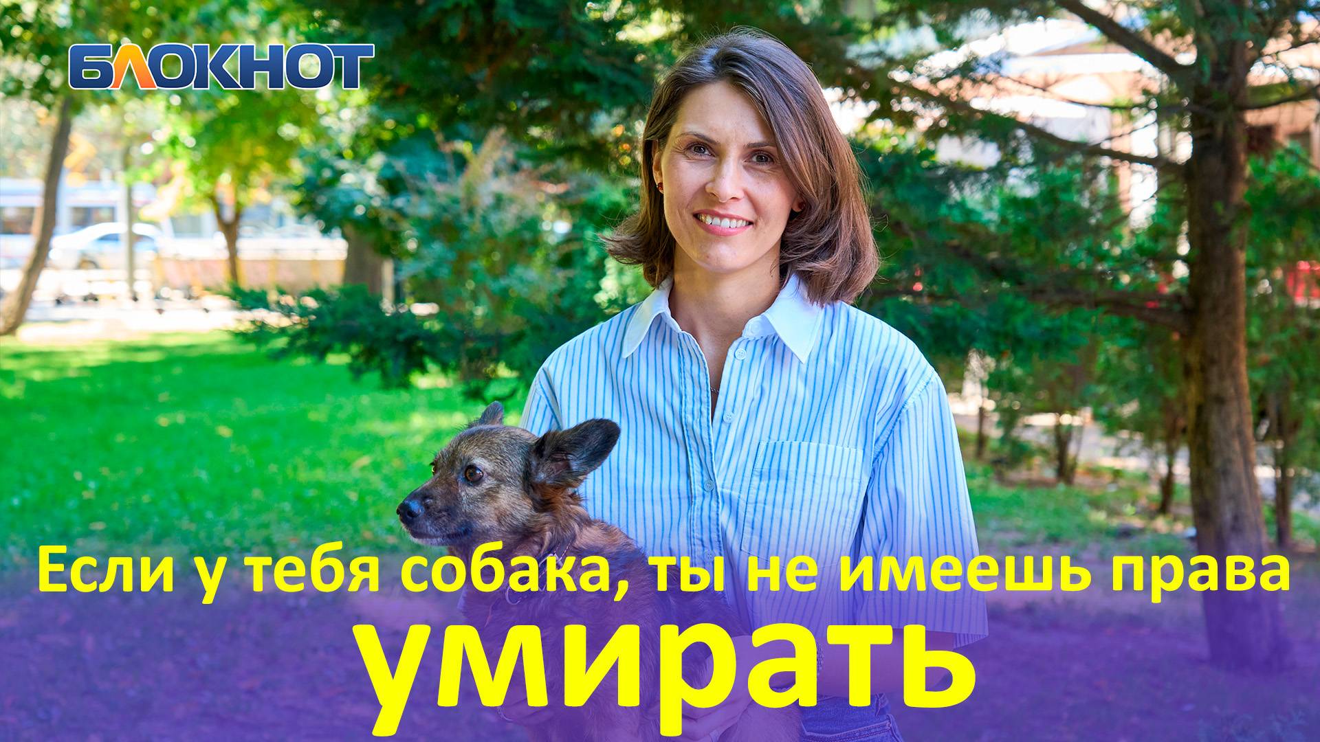 Об усыплении животных, роковых выездах и высоком чеке: с чем и как ежедневно работает ветеринар