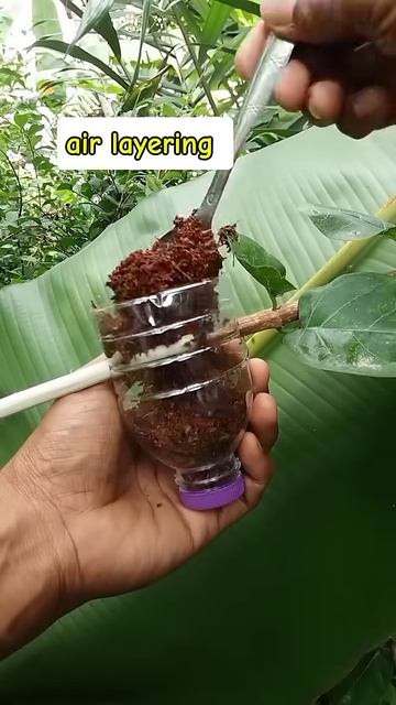 Контейнер для воздушных отводков из пластиковой бутылки