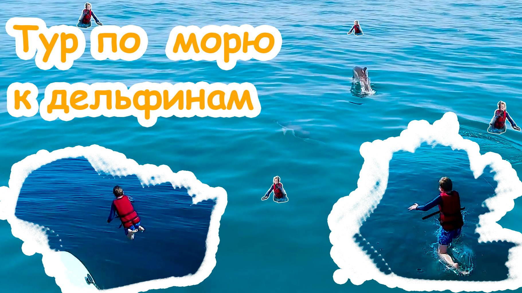Тур по  морю к дельфинам