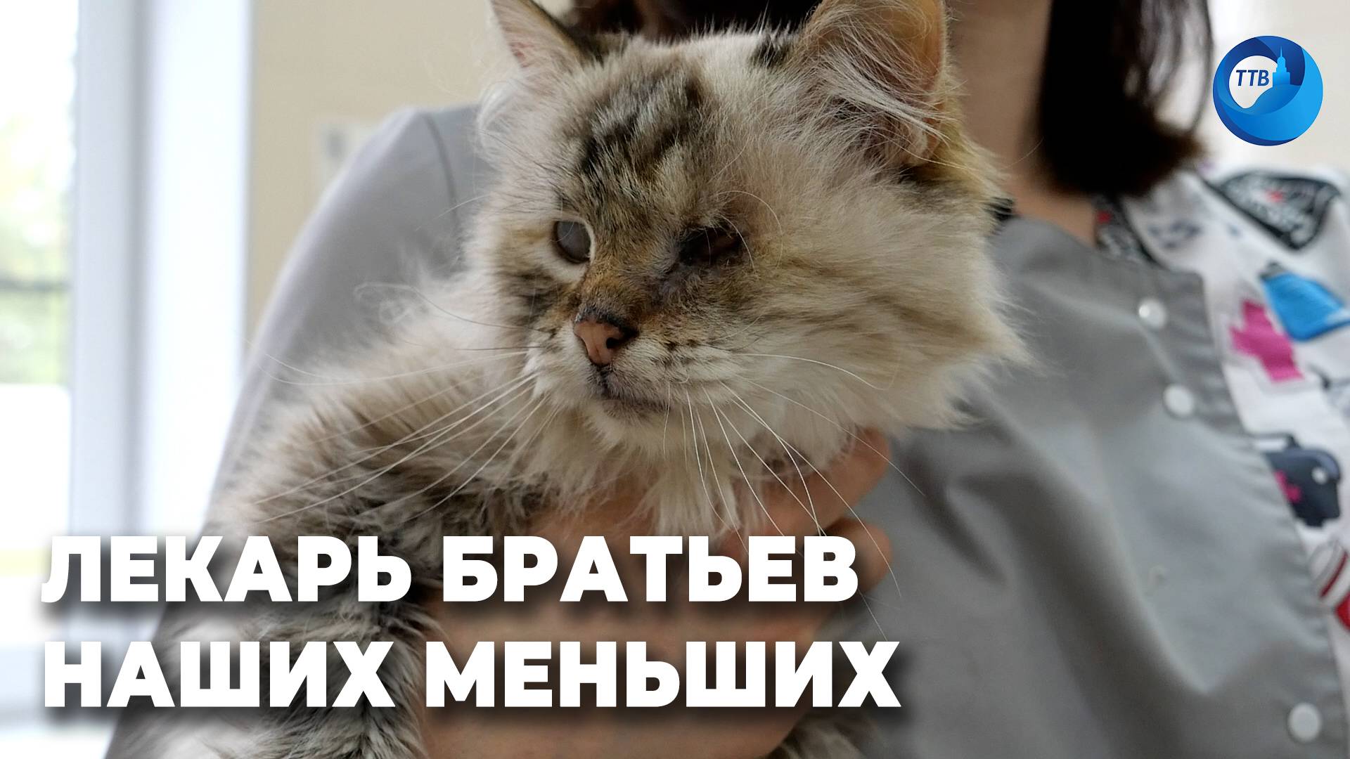 День ветеринарного работника России