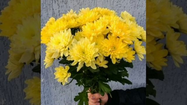 ПРОШЛА ЛЮБОВЬ.