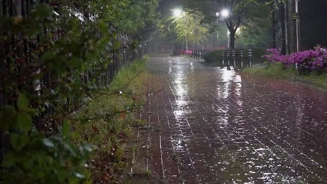 Звуки дождя для сна / Релакс / Медитация