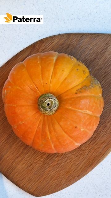 Фасовочные пакеты для хранения и замораживания продуктов  PATERRA , 50 шт.