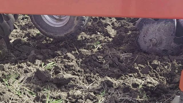 Дисковая борона БПТ-6 БДТ-АГРО: на бумаге — идеально, в поле — бесполезно