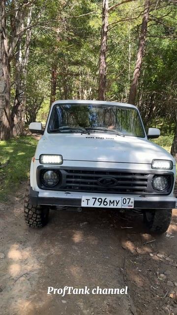 DUSTER vs NIVA