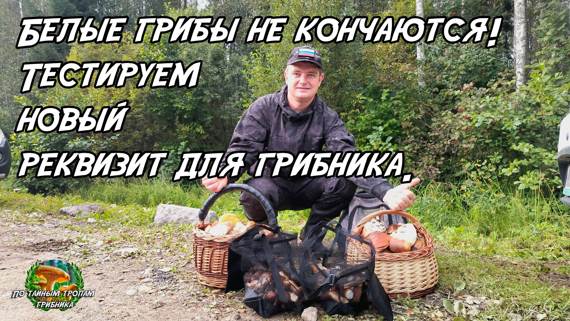 Белые грибы не кончаются! Тестируем новый реквизит для грибника. 29.08.25