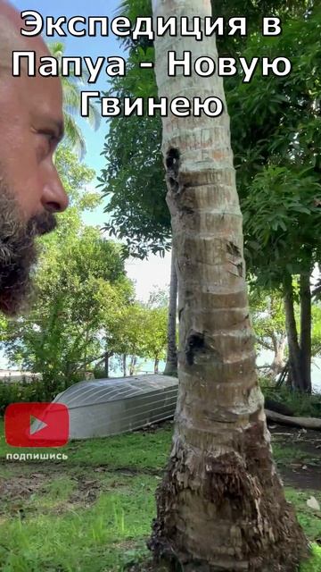 276. Иду умываться к ручью. Утро, д. Горенду