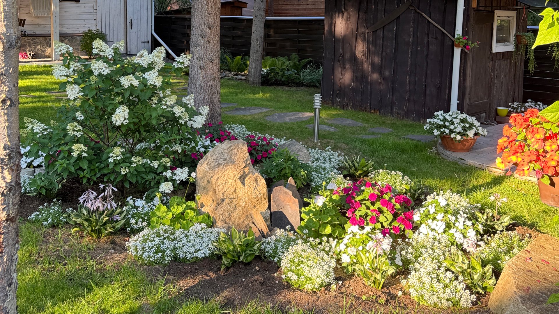 27 августа на даче. Что растёт в теплицах, Пышно цветут бальзамин и герани..