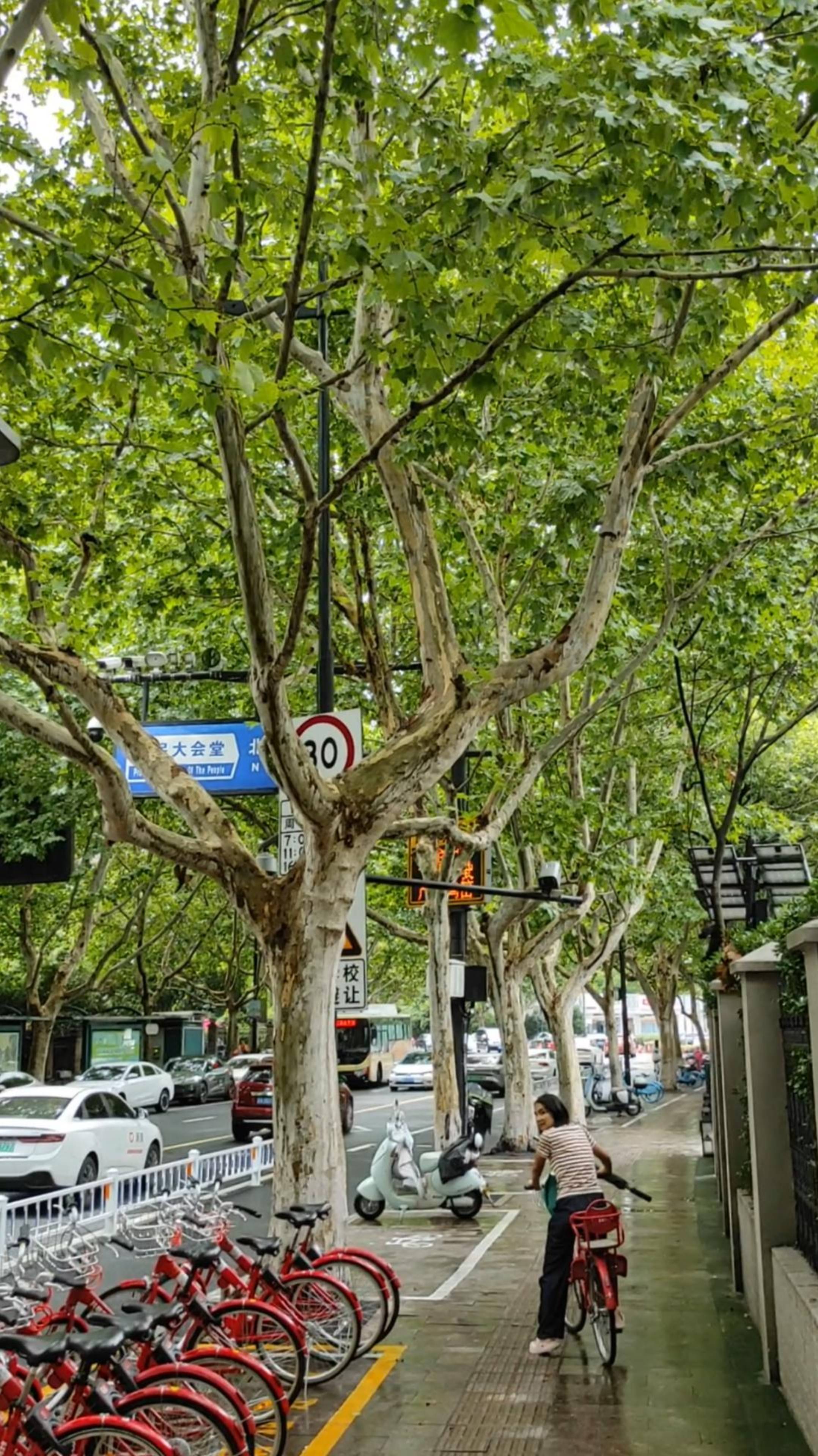 В Ханчжоу летом ощущение как в аниме