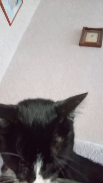 Васенька прошел осмотр в клинике.