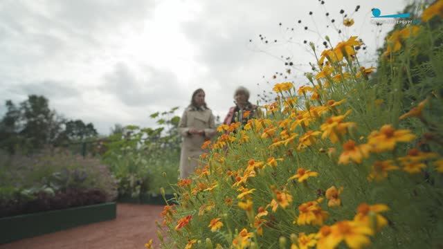 Садоводство Боде открывает двери для петербуржцев