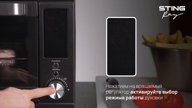 Приготовление крыльев в духовом шкафу STINGRAY ST-EO113A