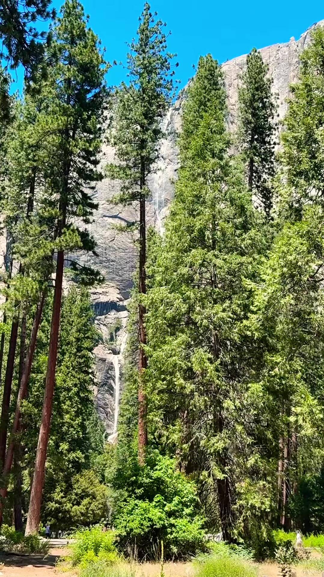 Йосемитский водопад, Национальный парк Йосемити 🏞️🗺️