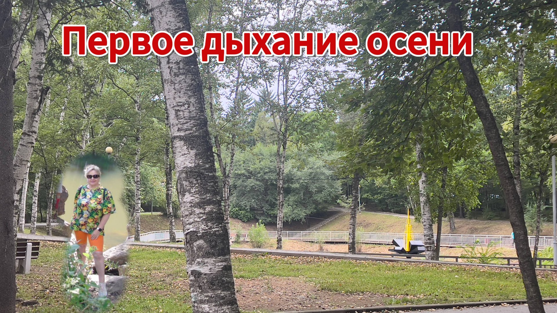 Сентябрь. Первое дыхание осени. Пение птиц. Приморье.