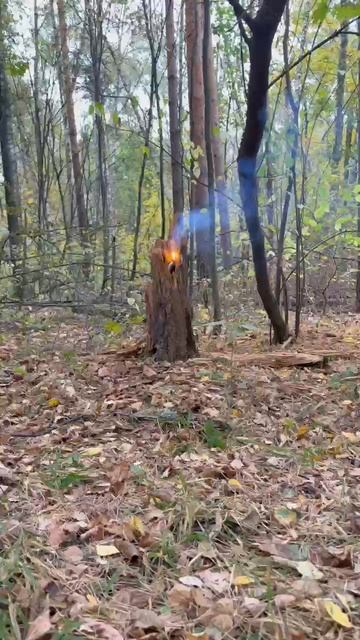 П3008 Петарды Zаряд 8 (4 шт)