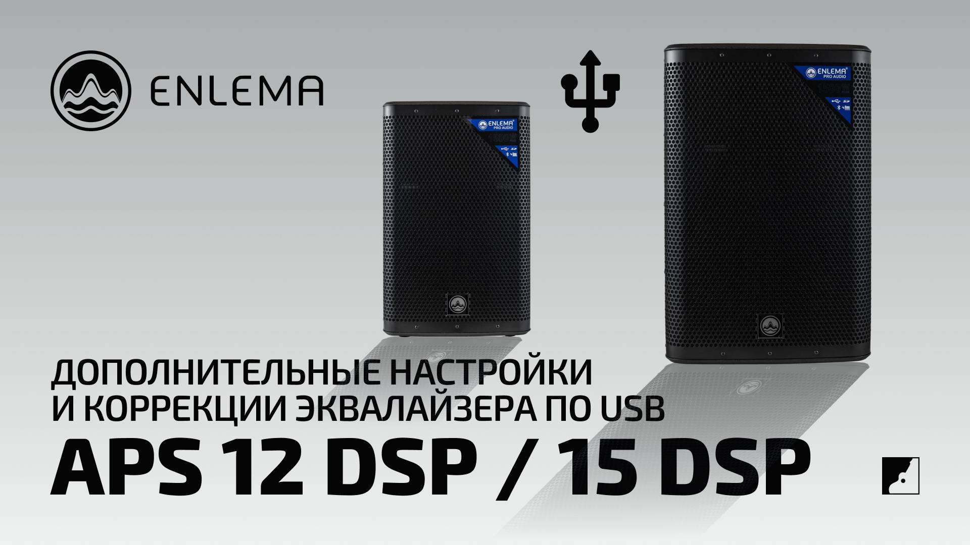 Enlema: APS 12 DSP / 15 DSP  -  Дополнительные настройки и коррекции эквалайзера по USB