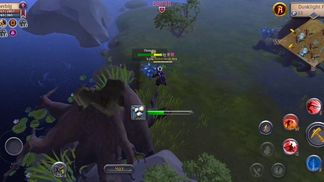 Утренний рейс в #Альбион #сбор на #Прем 29-08-2025