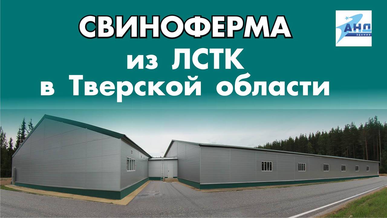 Свиноферма из ЛСТК в Тверской области