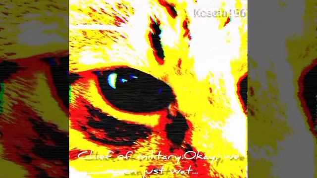 хоррор коты 2