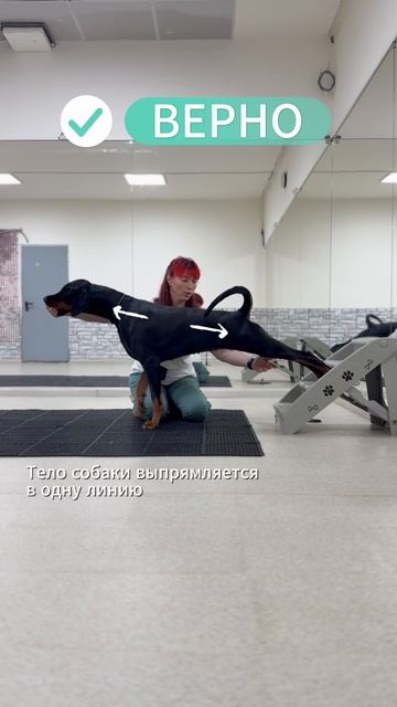 Активная растяжка переднебедренной группы мышц #максимпомог #растяжка