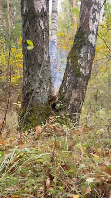 П3710 Петарды Мега Zаряд 10 (3 шт)