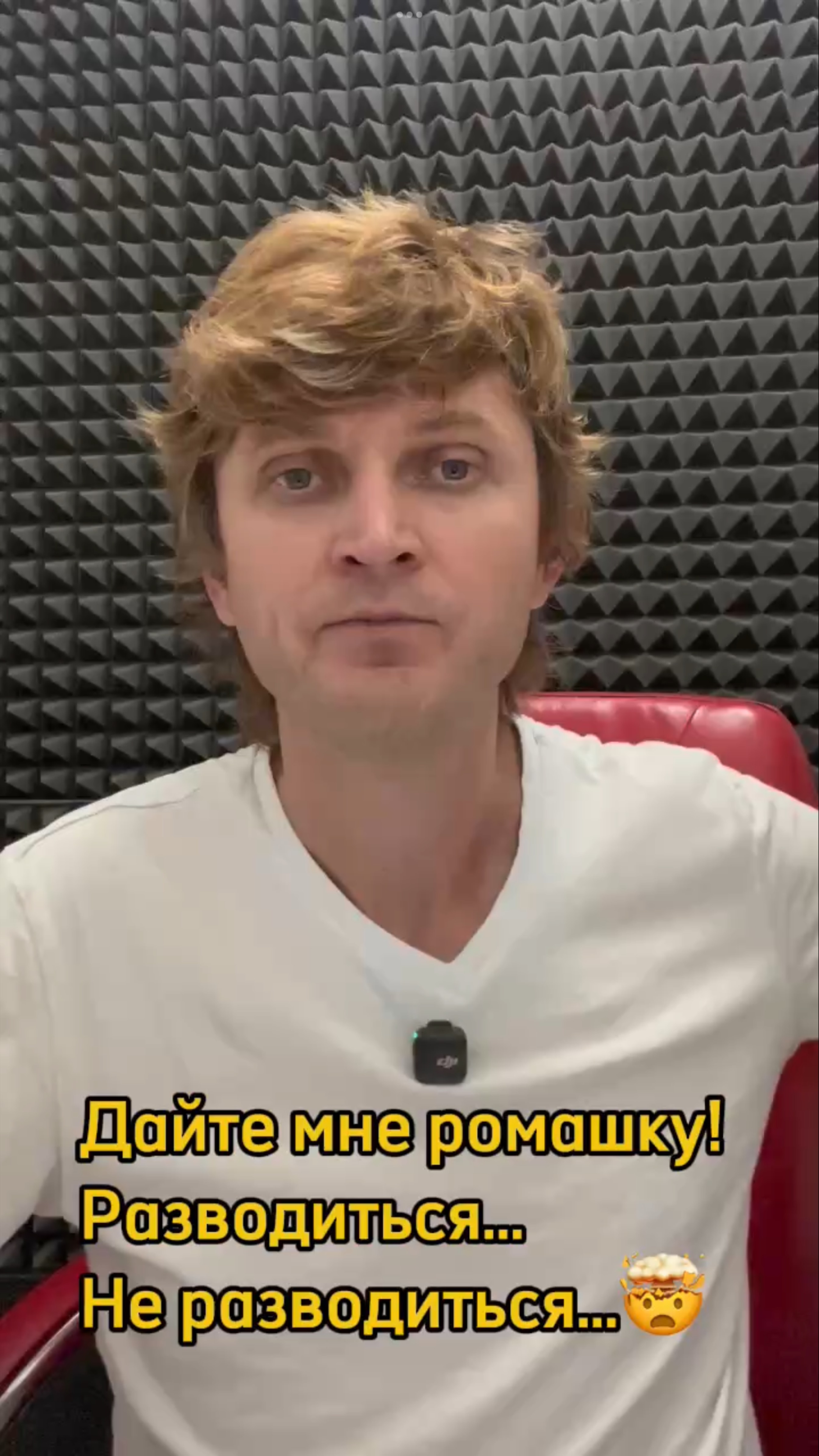 Дайте мне ромашку! Разводиться… Не разводиться…