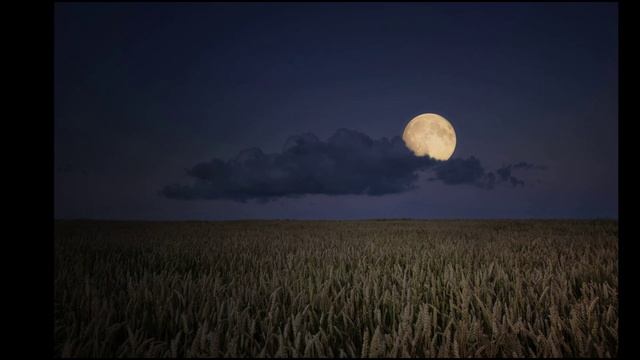 Тихой ночью, поздним летом... Федор Тютчев.