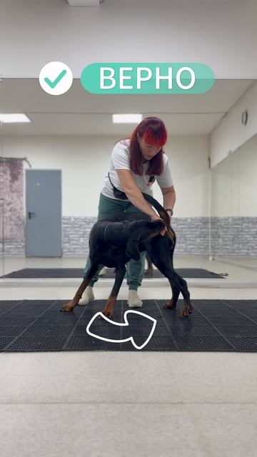 Активная растяжка мышц паравертебральной зоны #максимпомог #растяжка