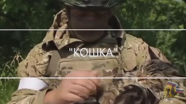 "КОШКА" - Премьера песни #52.