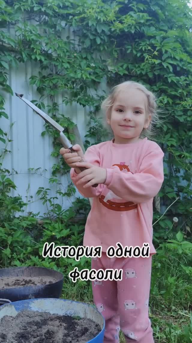 История одной фасоли