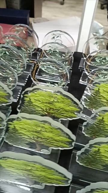 STORY00000015_20250609