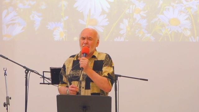 Расцвела ромашка полевая