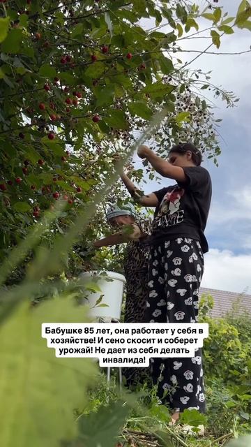 Нашей бабушке 85 лет🥹♥️