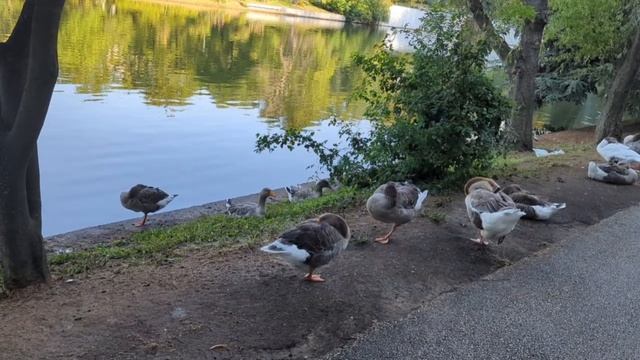 Вы такого уютного города ещё не видели, точно! А хотите таки увидеть?