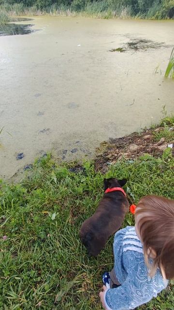 Кусочек лета. Июнь 2025