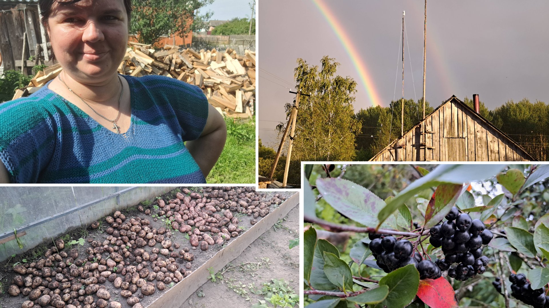 Копаем, убираем картошку . Позвольте мы с мамой сами решим что кому делать! Ну...люблю я мужиков😄