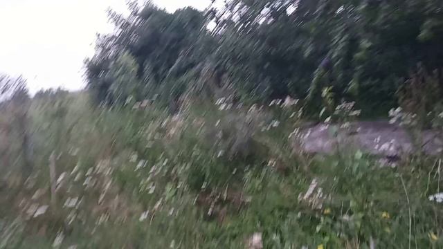 Августа конец - в теплице огурец...