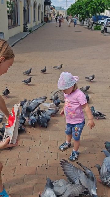 Кусочек лета. Июль 2025