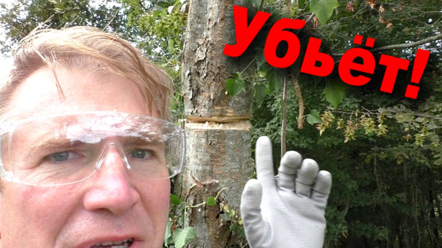 🌳 ВАЛИМ ДЕРЕВО! И продолжаем отделку внутри дома!