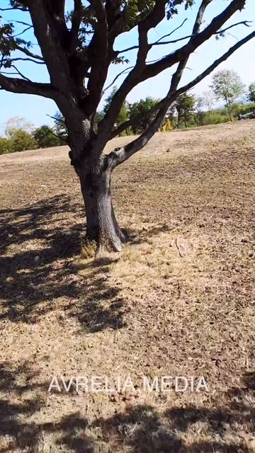 FPV съемка, любые идеи и любая сложность!