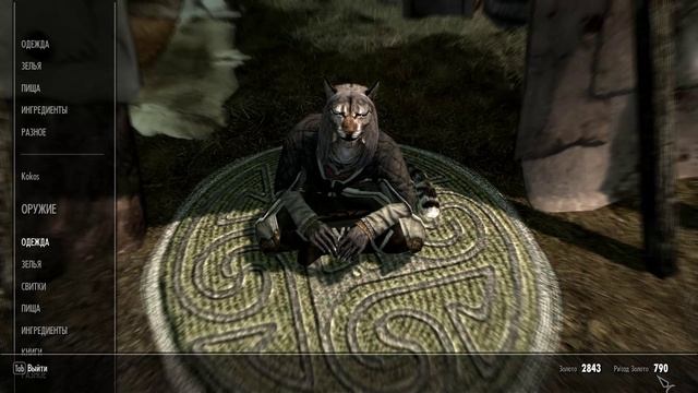 TES V: Skyrim. Приключения Кокоса. Грабим еще одну пещеру бандитов и идём выполнять квест.