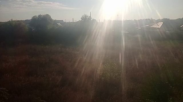 Карталы вид из окна поезда (видео_20250824_082956)