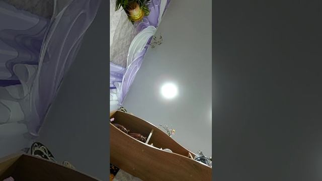 я дома (вася орёт)