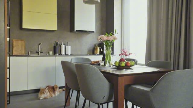 Мини-обзор уютной квартиры в Москве