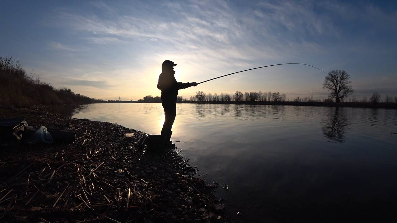 Закормил место пшеном и пошла жара. Рыбалка 2025