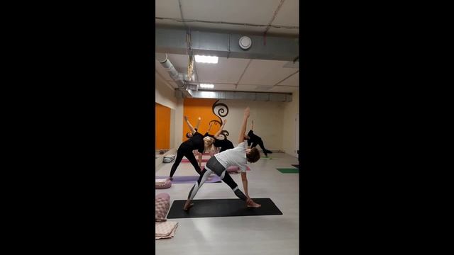 Хатха йога для начинающих